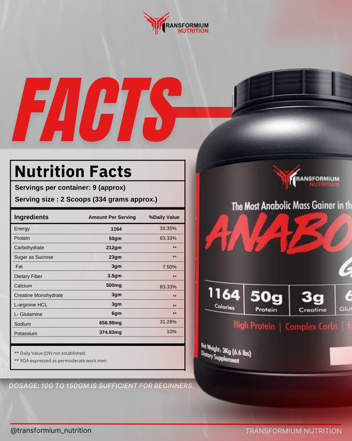Anabolic Gainz Bulk Mass Gainer – Transformium Nutrition